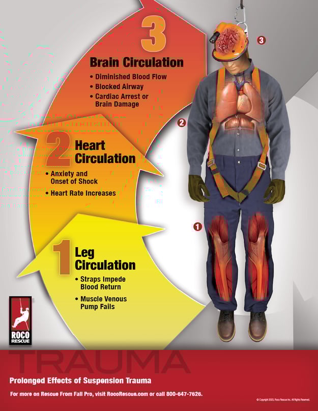 Suspension Trauma: Roco Safety Poster